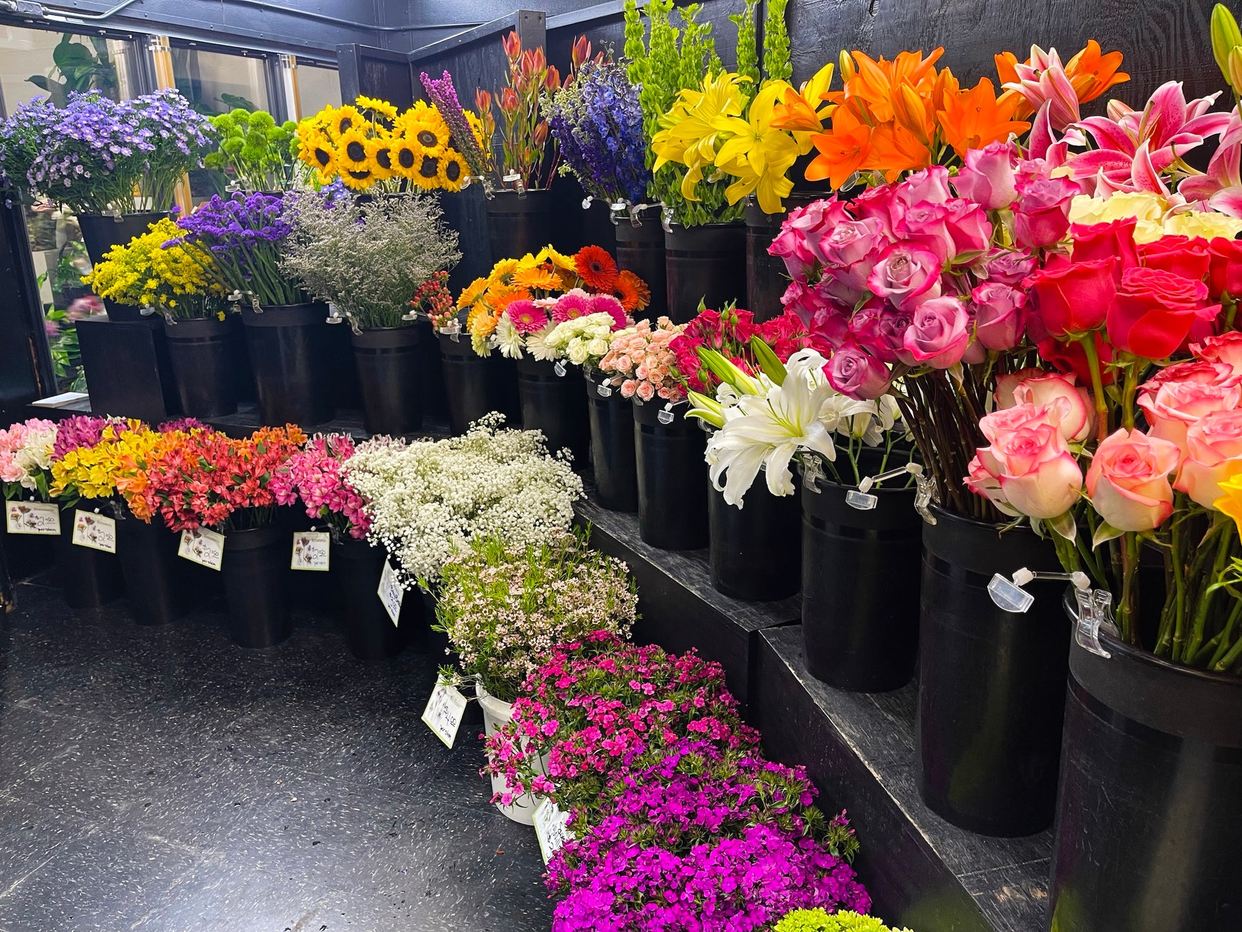 Walk-in Flower Cooler – Denton Florist